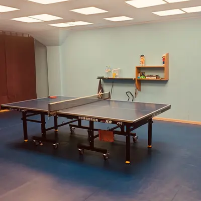 Центр настольного тенниса ТОПС